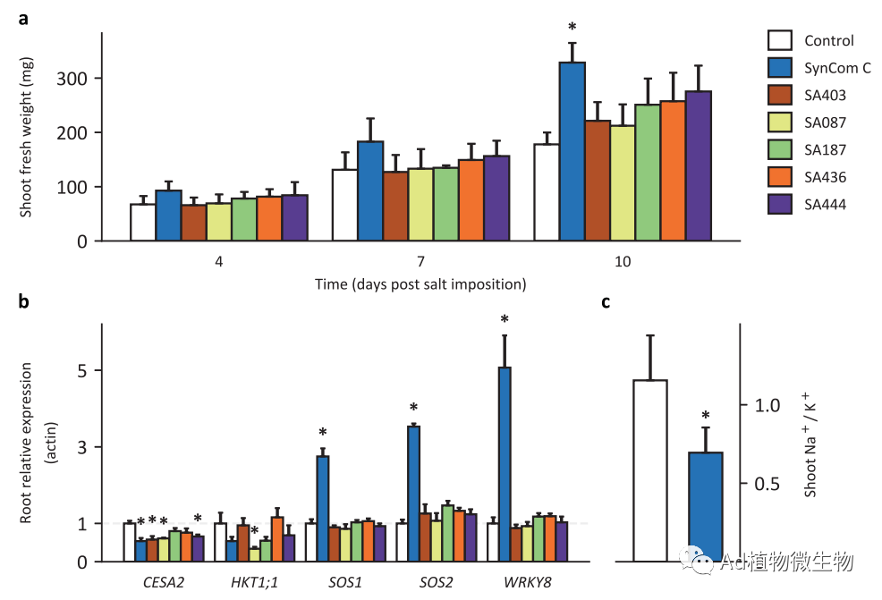 ISME | 研究揭示沙漠根际合成菌群保护番茄植株免受非生物胁迫！ - 知乎