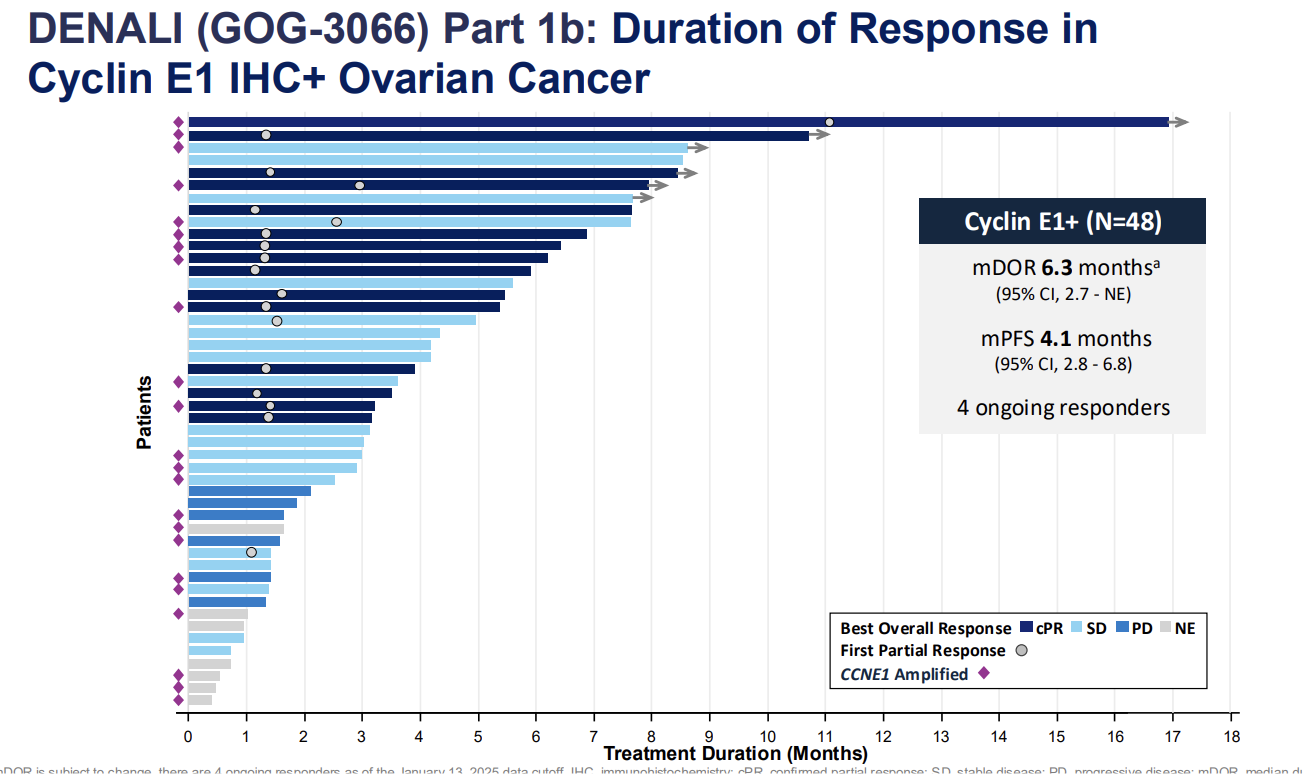 SGO2025：WEE1抑制剂Azenosertib在CCNE1阳性铂耐药卵巢癌中的疗效 - 知乎