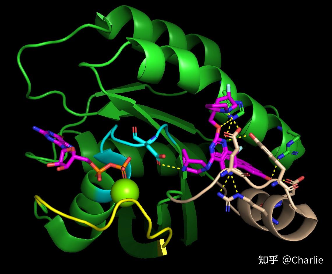 1-2 药化视角_RMC6236 - 知乎