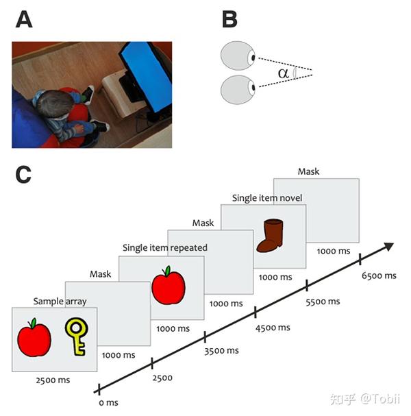 眼动论文精选 || 工作记忆任务中视听跨模态冲突的影响 - 知乎
