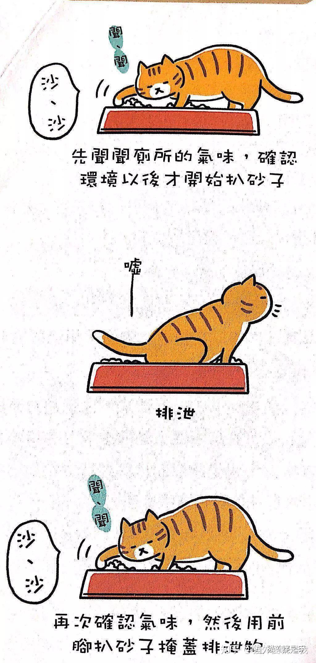 我们家猫咪又乱尿了怎么办？ 知乎