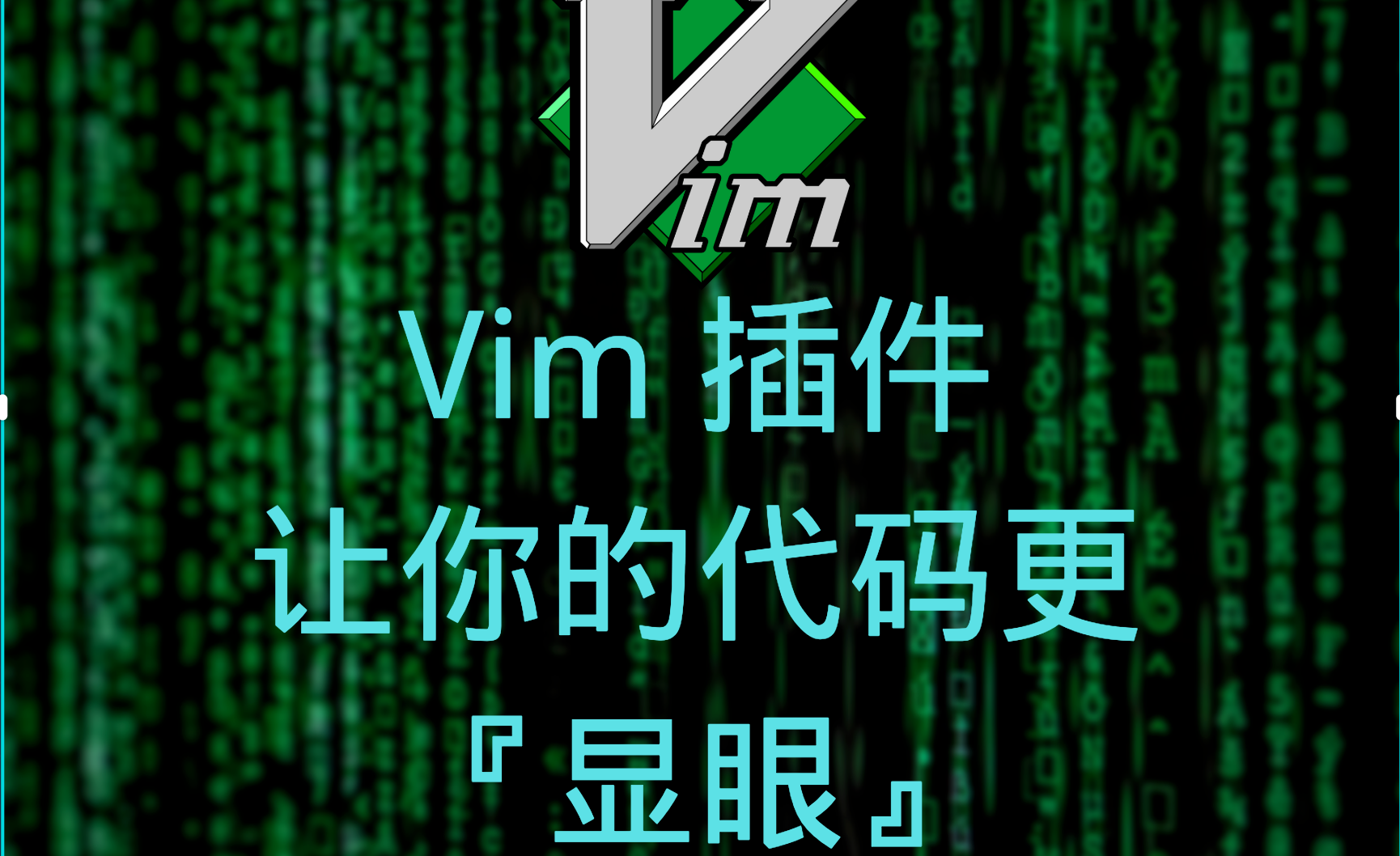 vim插件，让你的代码更加『显眼』[视频] - 知乎