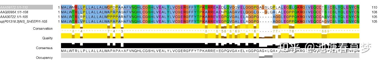 初探多序列比对——生信原理第三次实验报告 - 知乎