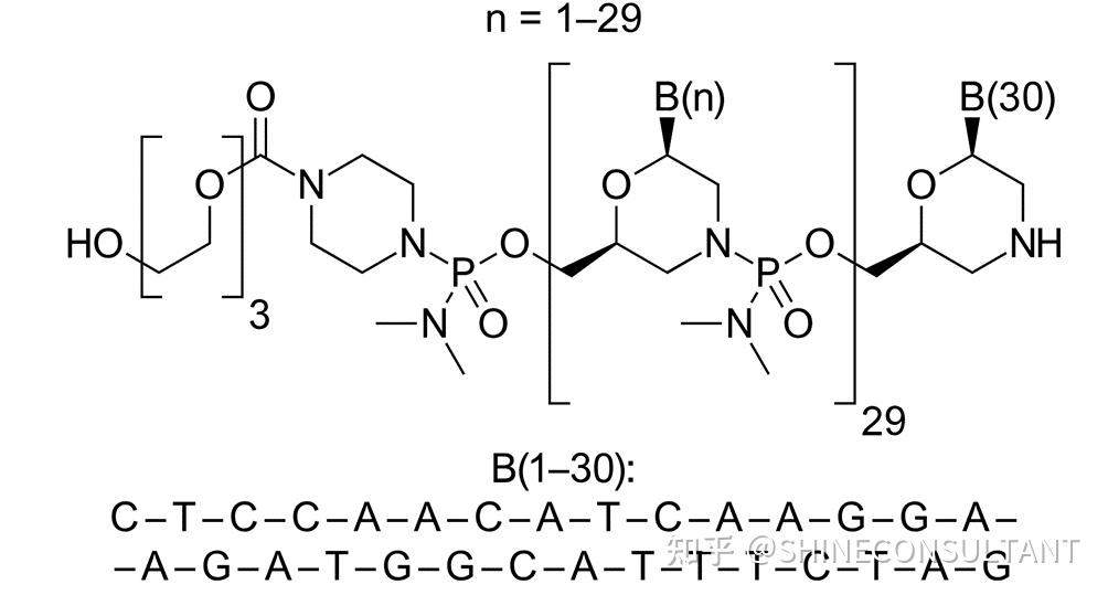 寡核苷酸药物的研发现状与展望 - 知乎