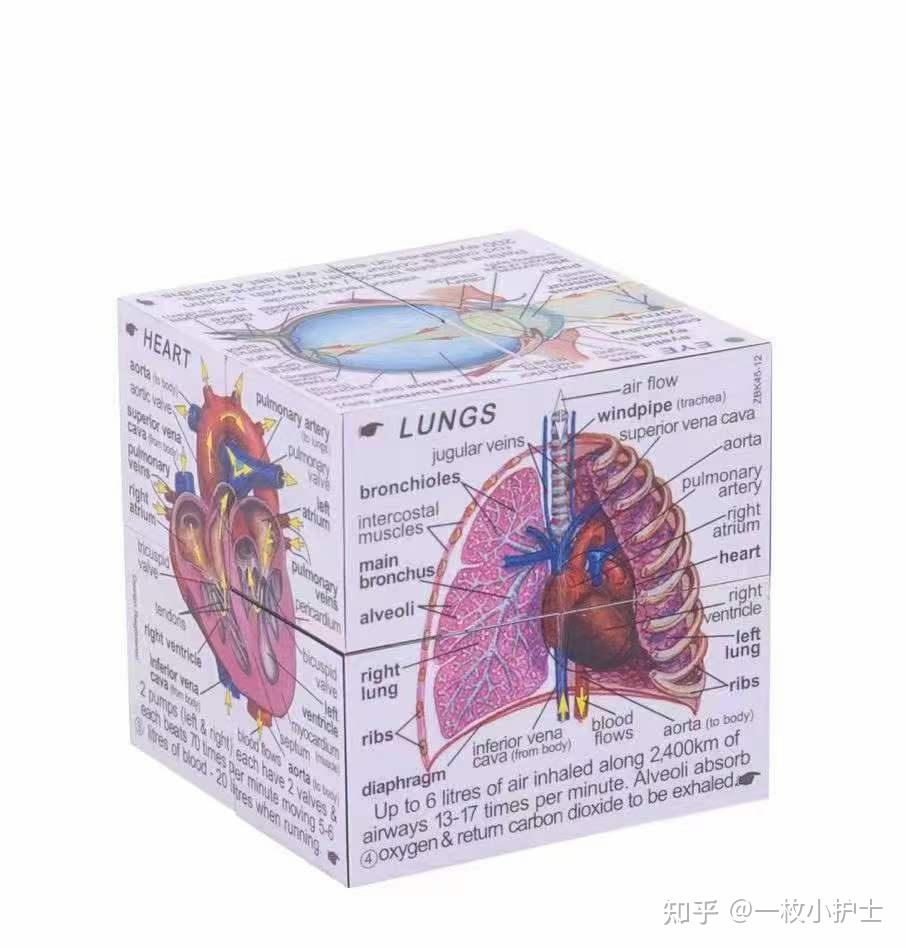 零基础也可以轻松学ispn/rn 为自己而努力 - 知乎