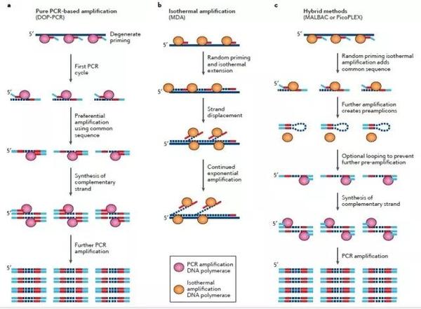 单细胞测序快速入门笔记·1|SCS原理 - 知乎