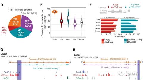 三代长读长测序差异可变剪切工作流（二）——rMATS-long - 知乎