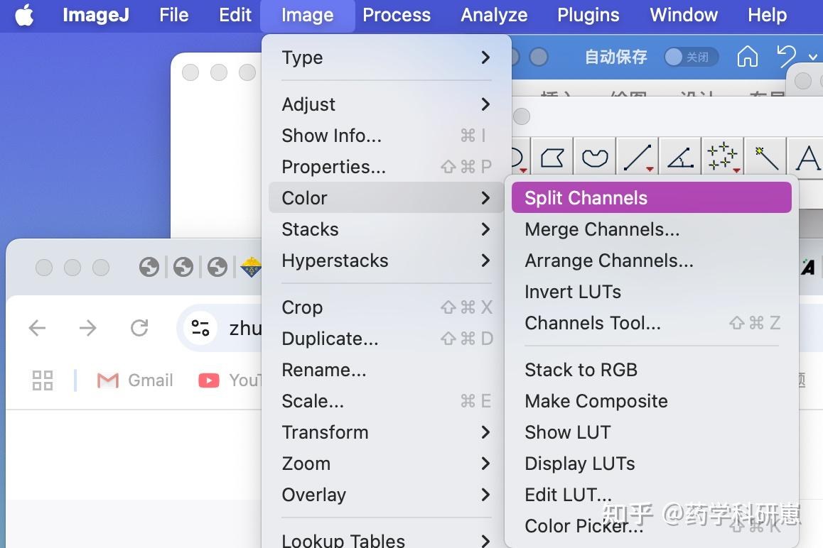 Image J 荧光共定位分析-较老婆版本-迪 - 知乎