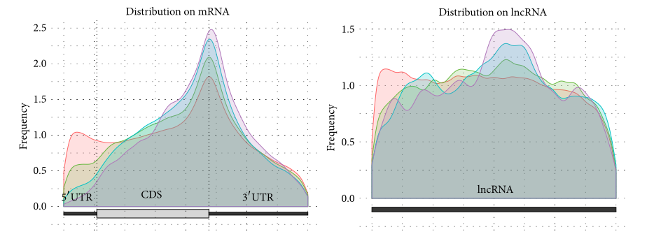 RNAseq reads 分别在3‘UTR，CDS以及5’UTR区域的分布plotprofile - 知乎