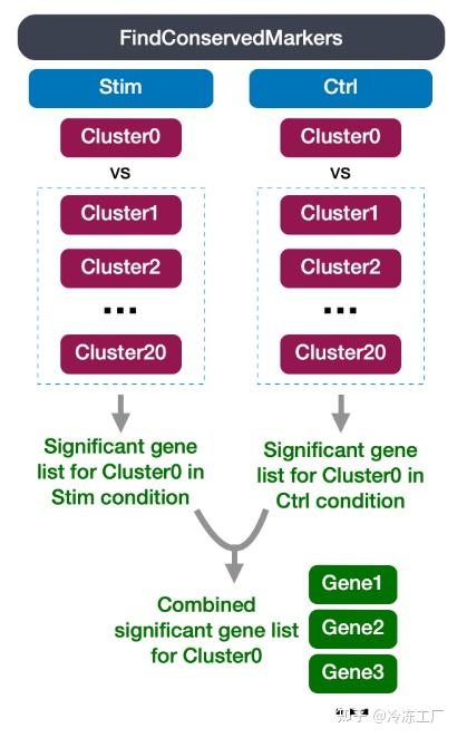 单细胞分析：marker鉴定（11） - 知乎