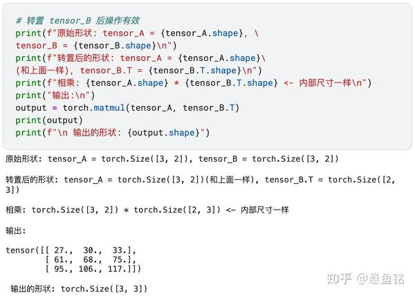 PyTorch 基础 - 知乎