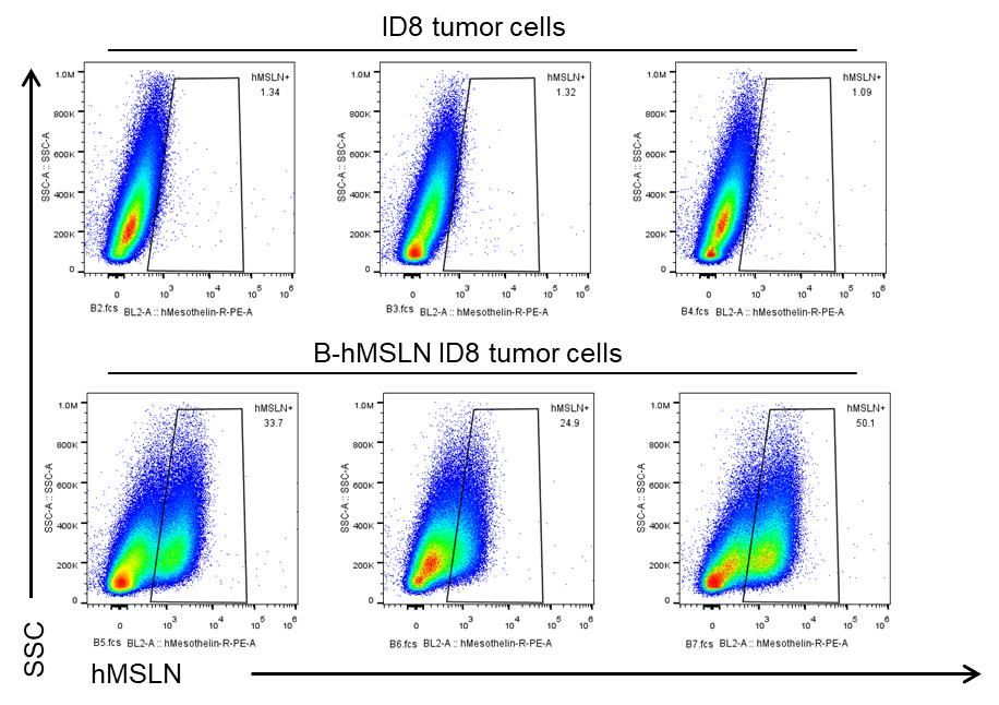 扬帆起航：MSLN靶点治疗带来抗癌治疗“新生机” - 知乎