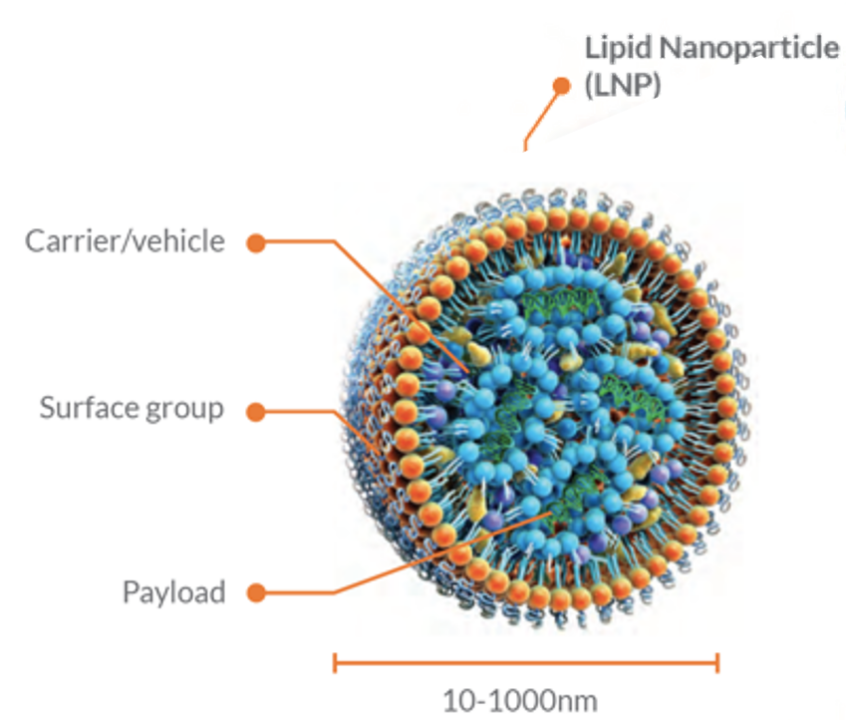 浅析mRNA疫苗的工艺流程 - 知乎