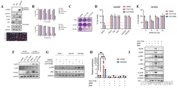 Sci Trans Med | 药物研究如何发高分文章？ - 知乎