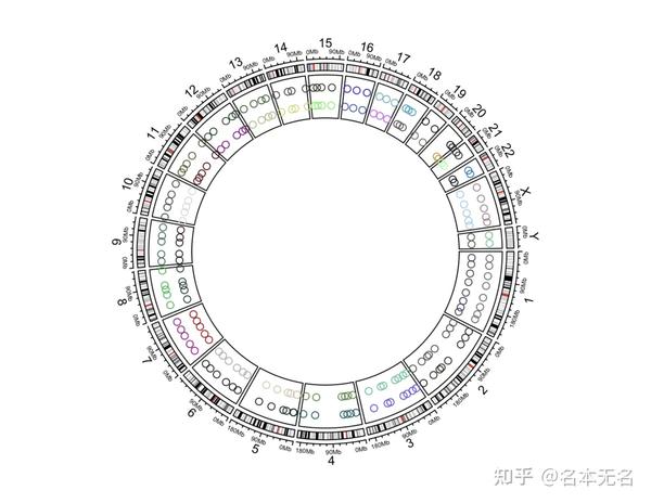 R 数据可视化 —— circlize 基因组绘图函数 - 知乎