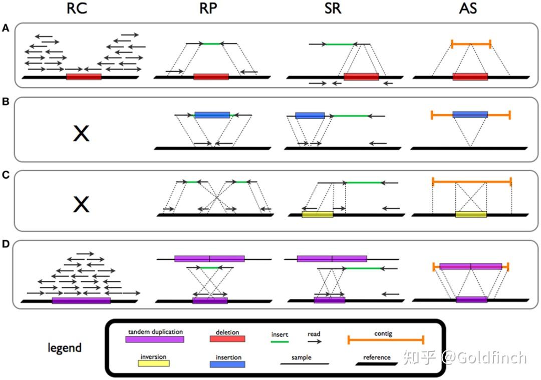 基因组结构变异之词汇、概念、分析方法 - 知乎