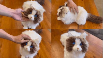 大象机器人：超萌metaCat米塔猫，硬科技也可以柔软治愈 - 知乎