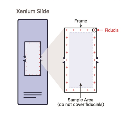 什么，你还没用上Xenium？快来看看最近大热的【Xenium空间原位分析】 - 知乎