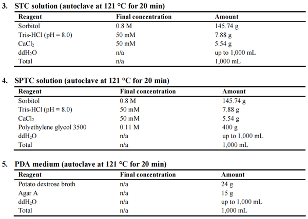 实验方案系列 | 核盘菌遗传转化系统的建立 - 知乎