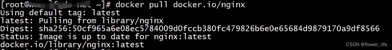 Docker平台上部署nginx、tomcat web容器 - 知乎