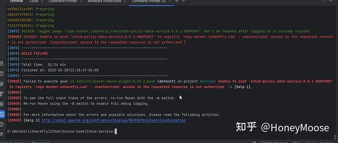 Nexus Docker 推送提示授权错误 - 知乎