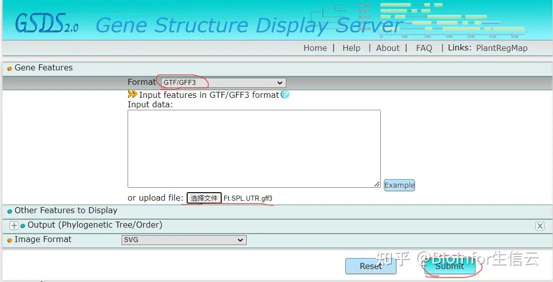 基因家族分析（5）绘制基因结构图 - 知乎