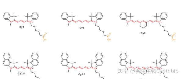 菁染料Cy7|Cy5|Cy5.5|Cy3荧光标记介绍 - 知乎