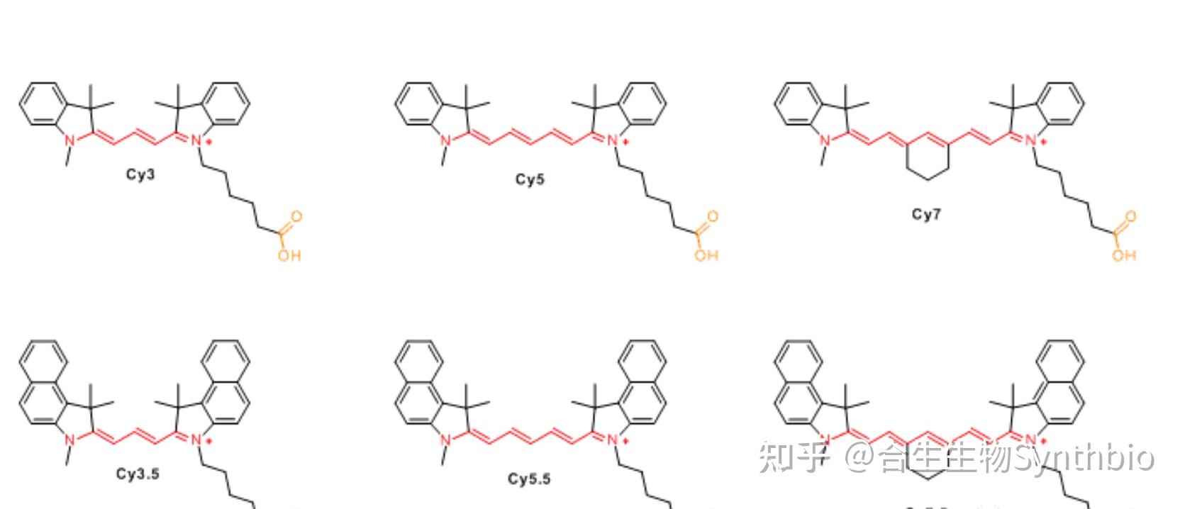 菁染料Cy7|Cy5|Cy5.5|Cy3荧光标记介绍 - 知乎