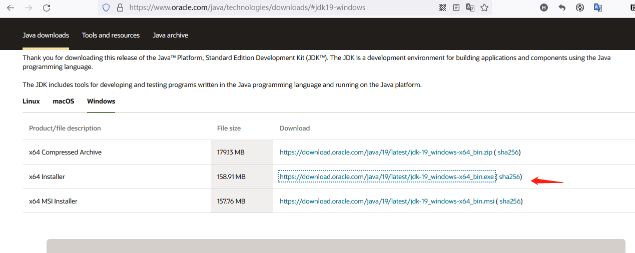 windows10 安装 jdk 19 图解 - 知乎