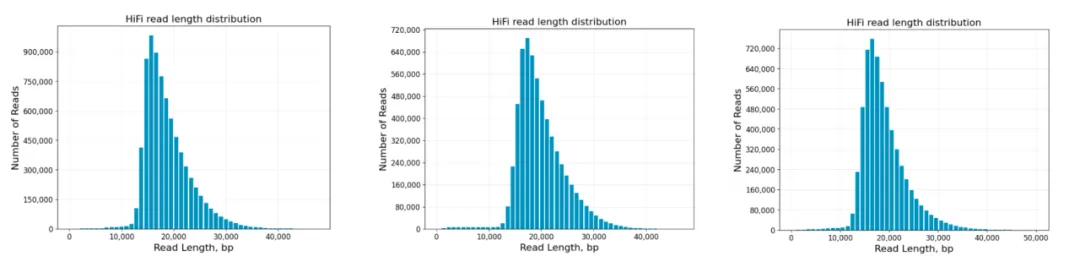 144G HiFi data/cell！诺禾致源Revio平台SPRQ试剂产出实现巅峰突破 - 知乎