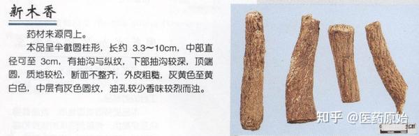 带你识别木香 - 知乎