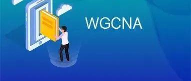WGCNA分析中TOMplot热图颜色设置 - 知乎