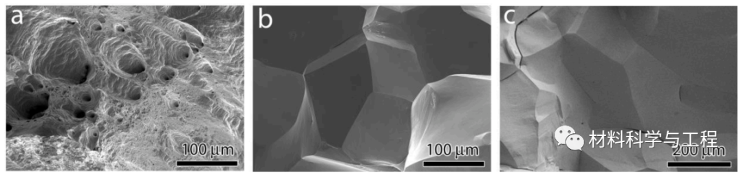 南科大《Acta Materialia》：氢促使镍中位错结构的非均匀发展！ - 知乎