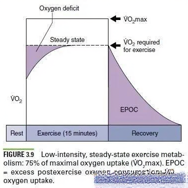 第二次呼吸 - 知乎