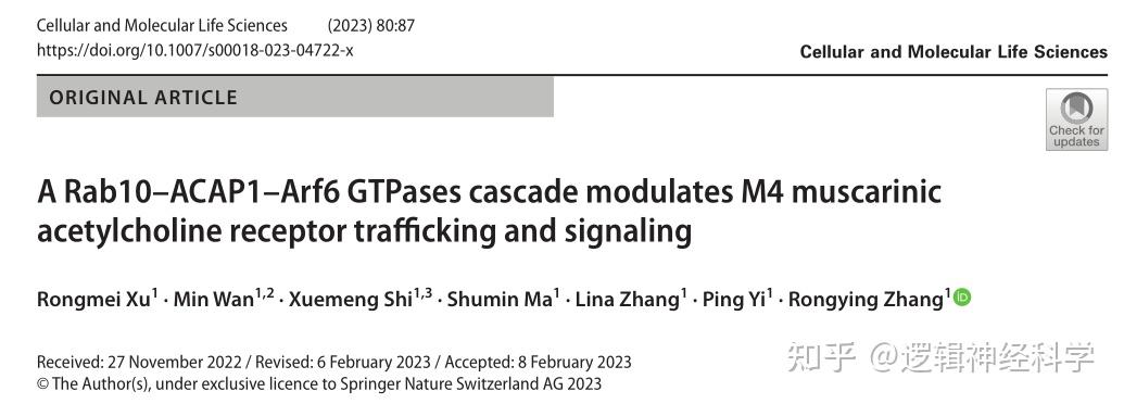 CMLS︱华中科技大学张蓉颖实验室揭示Rab10作为分子制动器调控M4 mAChR转运和信号的分子机制 - 知乎