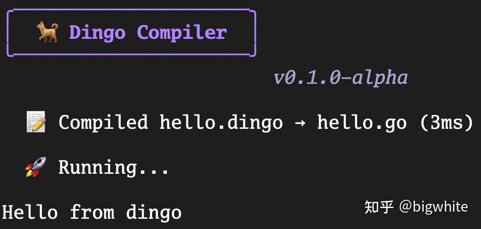 dingo：Go 语言的 “TypeScript”时刻？—— 一场由社区驱动的语言演进实验 - 知乎