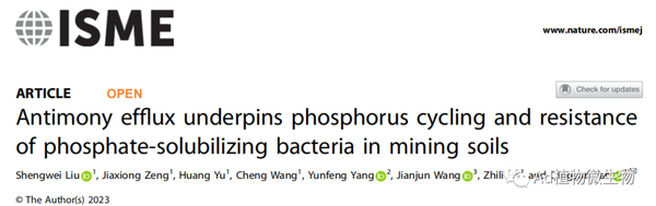 ISME | 中山大学研究揭示锑污染土壤中溶磷细菌磷循环和抗锑的机制！ - 知乎