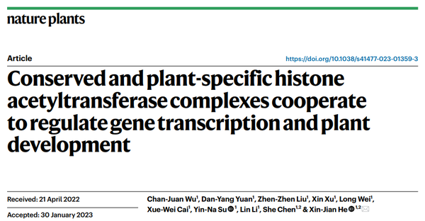 Nature Plants | 何新建团队发现植物中两个GCN5组蛋白乙酰化酶复合体协同调控基因转录和生长发育的机制 - 知乎