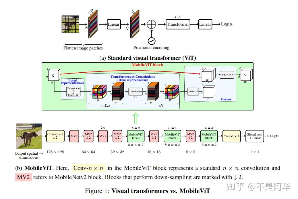 MobileViT - 知乎