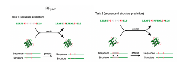 范式再颠覆 | RF Diffusion最强扩散式蛋白设计模型 - 知乎