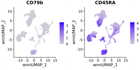CITE-seq数据分析 | 新格元带您从多个维度点亮单细胞身份 - 知乎