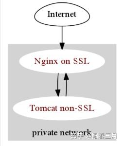 https集群中的Nginx.conf配置 - 知乎