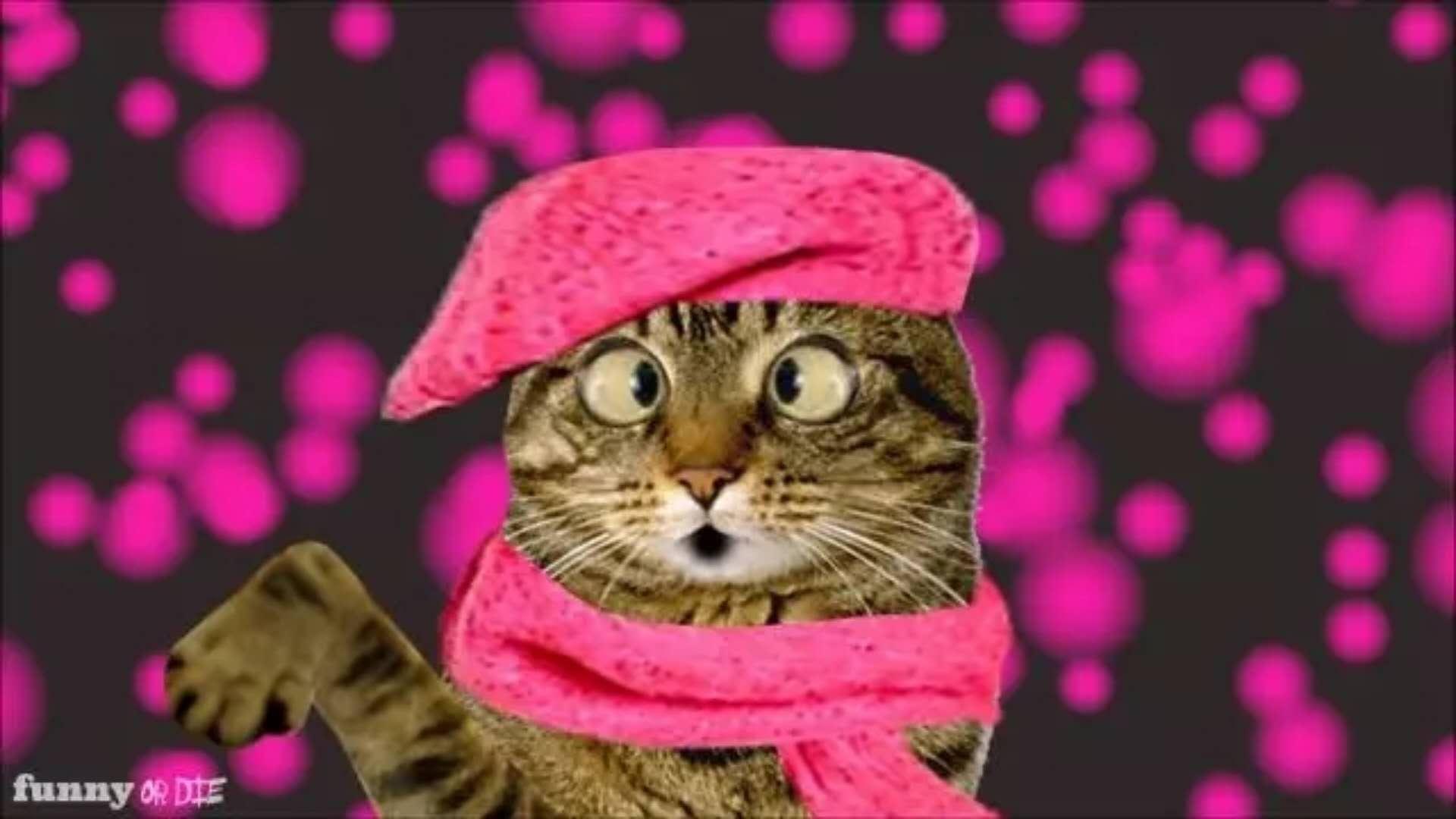 “Gay” 什么时候有了现在这个意思？ - 知乎