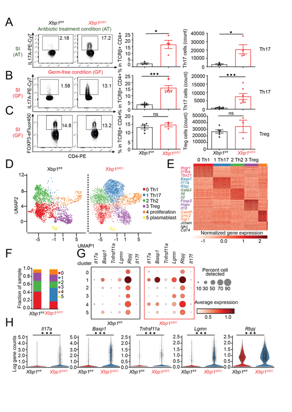 Immunity︱哈佛医学院段金志等揭示肠上皮细胞通过上调内质网应激促进Th17细胞的分化的机理 - 知乎