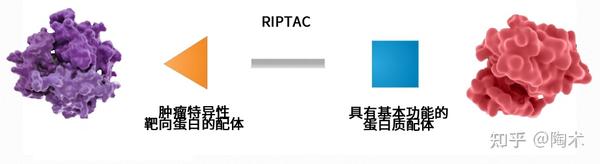 癌症疗法大革新？Halda新技术有望克服癌症耐药 - 知乎
