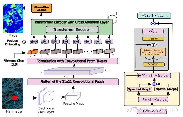 IEEE TGRS 2023 | 论文速递：用于高光谱图像分类的光谱空间形态注意力Transformer - 知乎