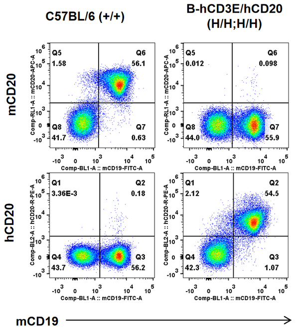 老将再掀新浪潮，CD20靶点火力全开 - 知乎