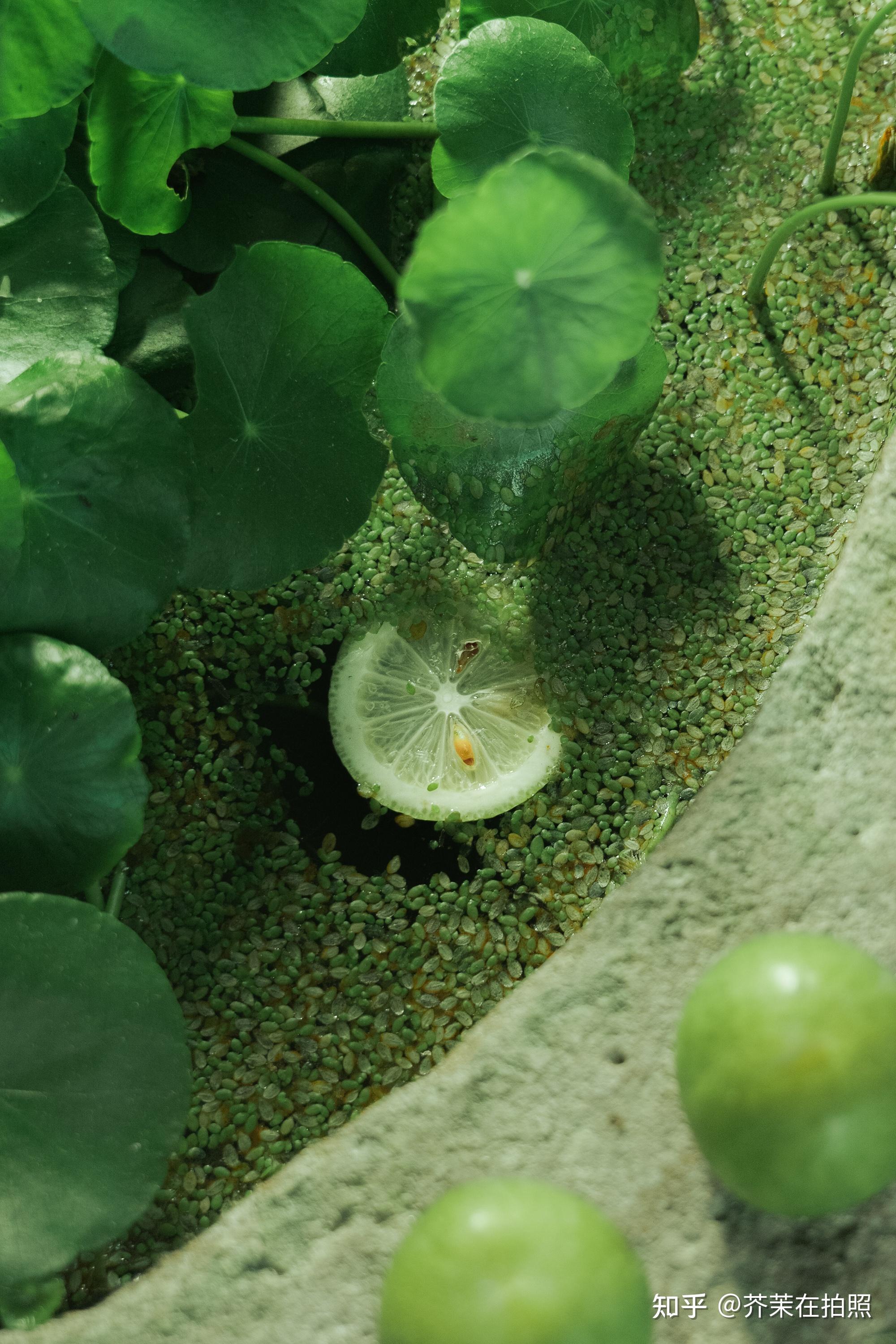 一台松下S9，治好了我的调色内耗｜Magic LUT真香 - 知乎