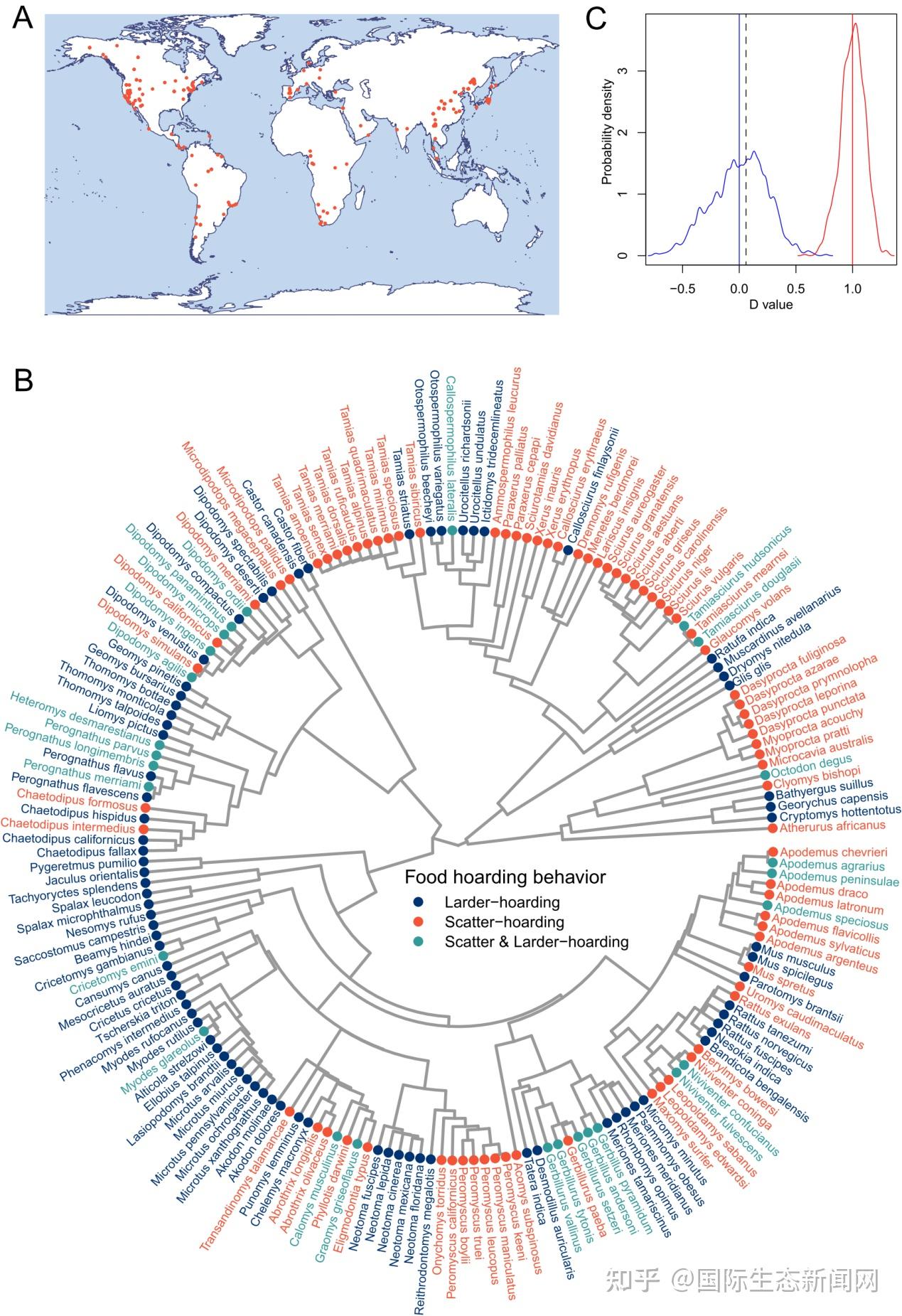 兰州大学生态学院严川教授团队牵头揭示了鼠类种子贮藏行为的生态学机制 - 知乎