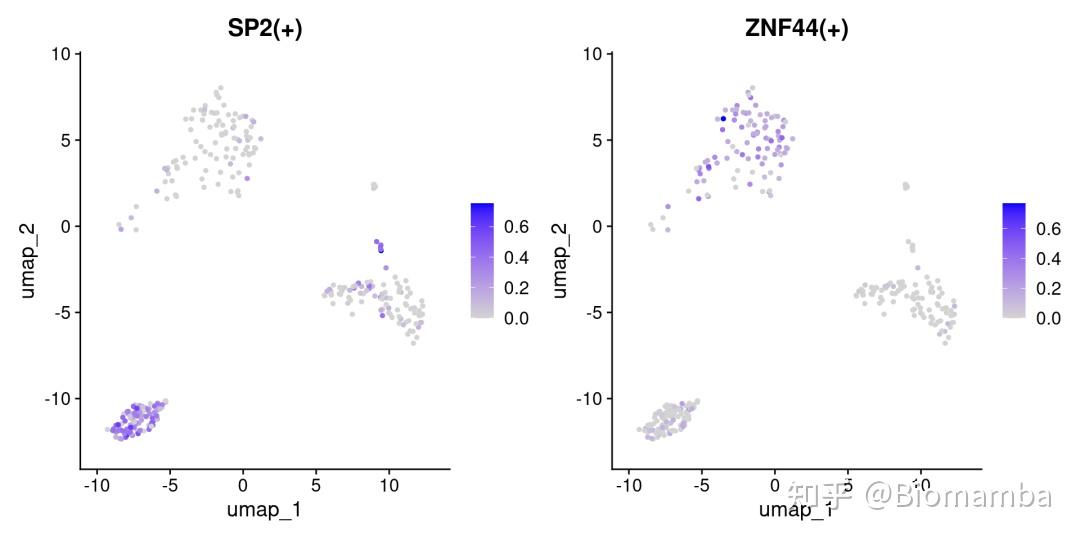 比R版本快几十倍| Pyscenic单细胞转录因子预测 - 知乎